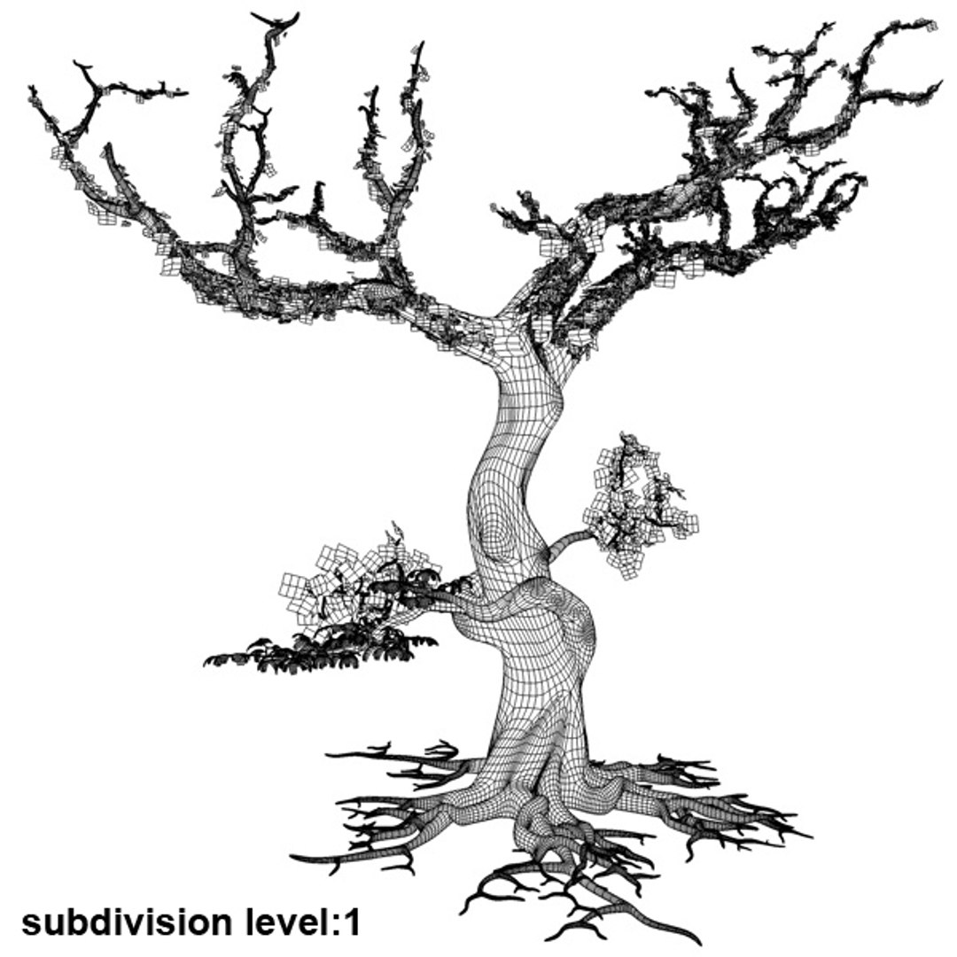 Secular Tree 3d Model