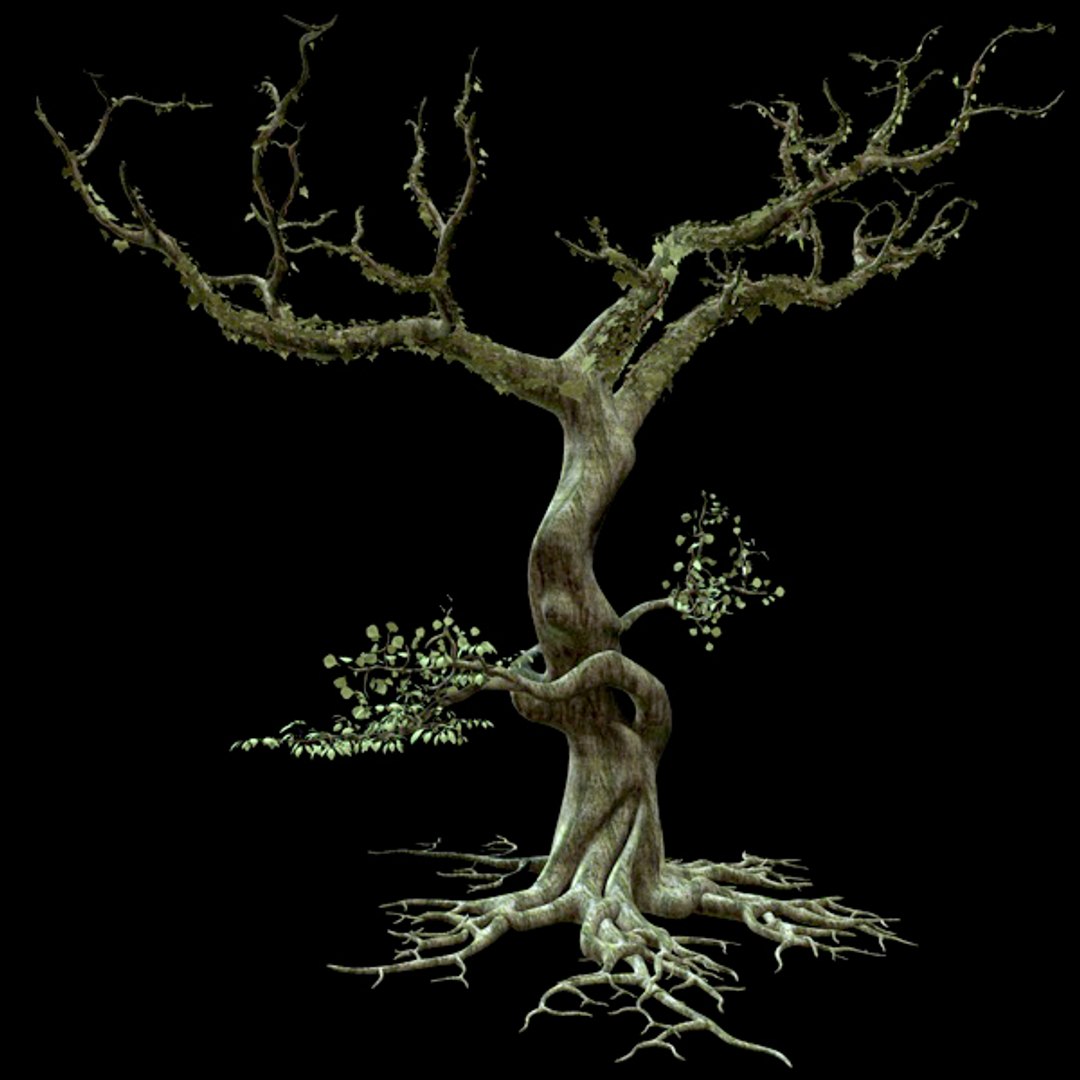 Secular Tree 3d Model