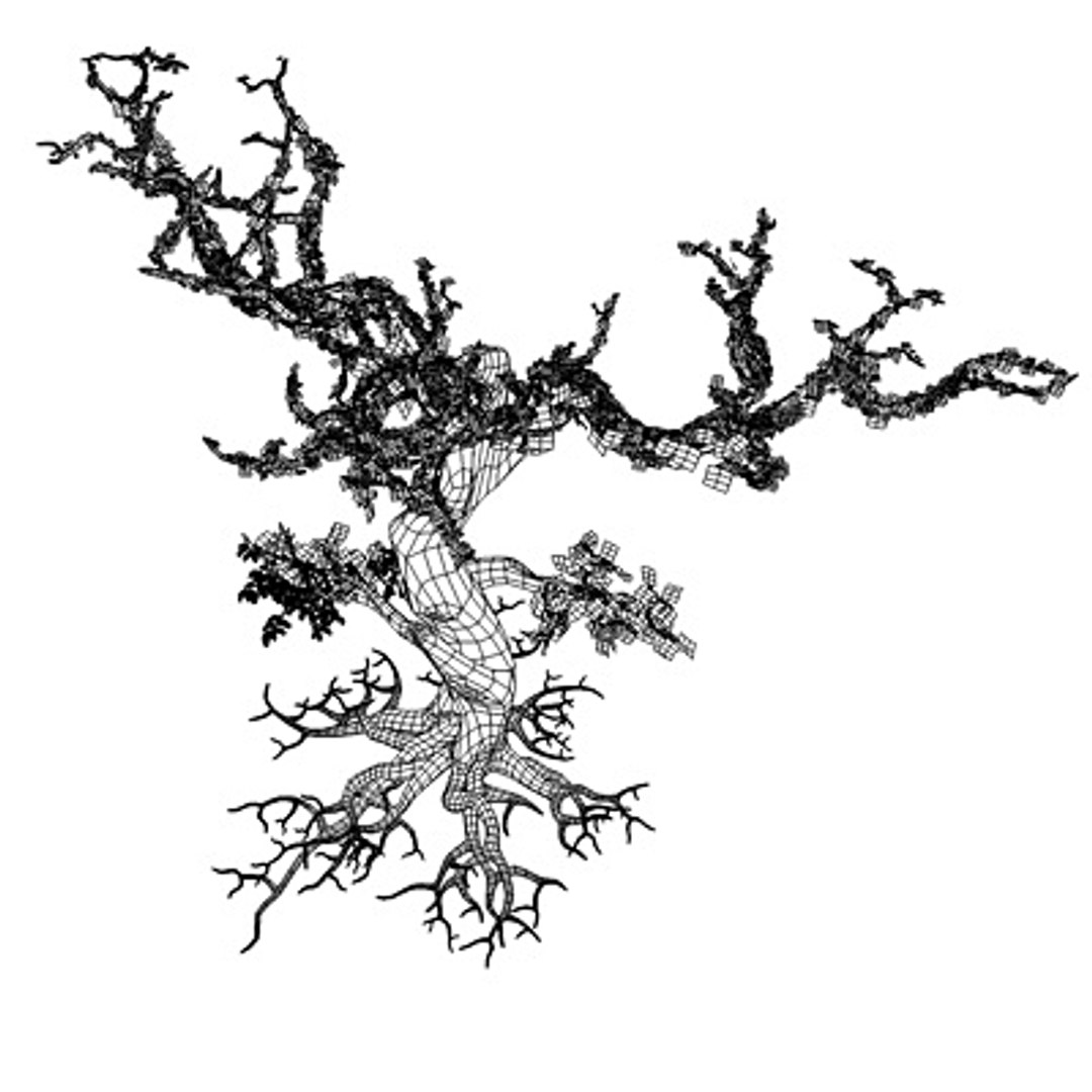 Secular Tree 3d Model