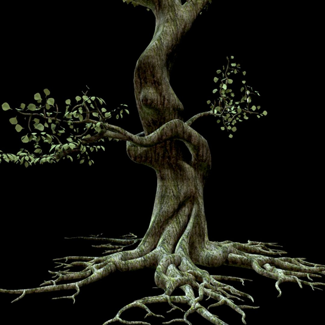 Secular Tree 3d Model