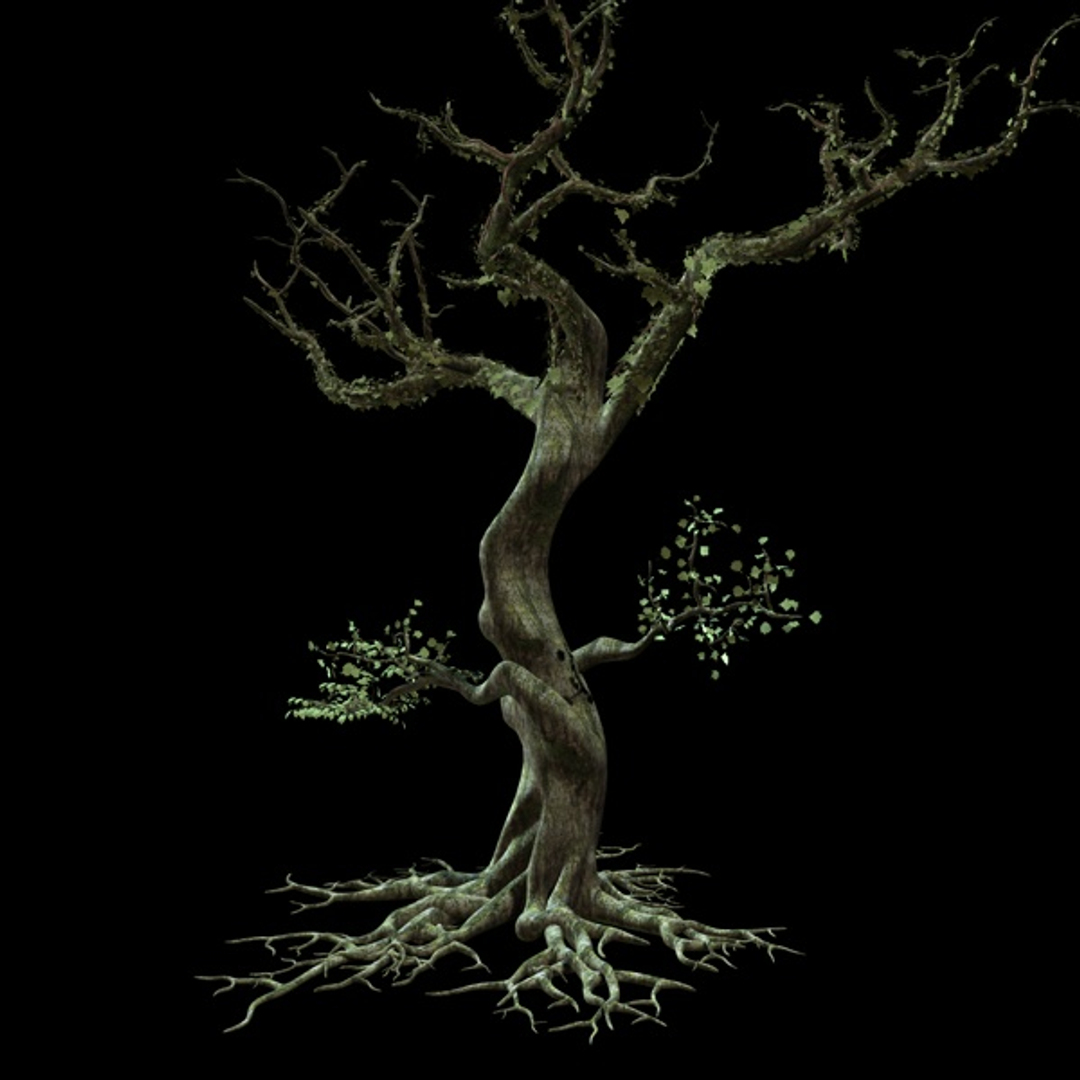 Secular Tree 3d Model
