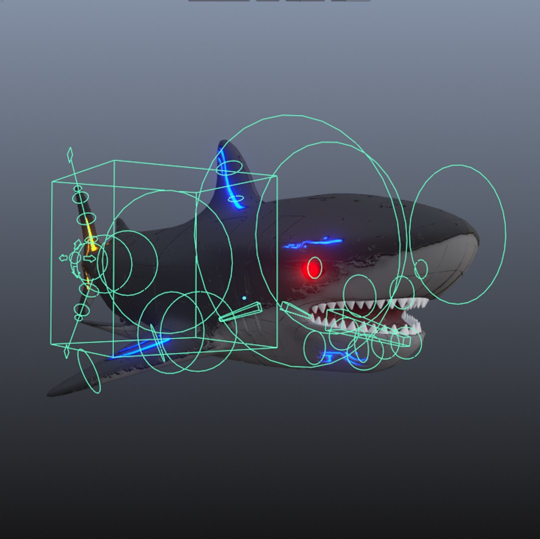 3D Rigged Sharks Animate - TurboSquid 1589219