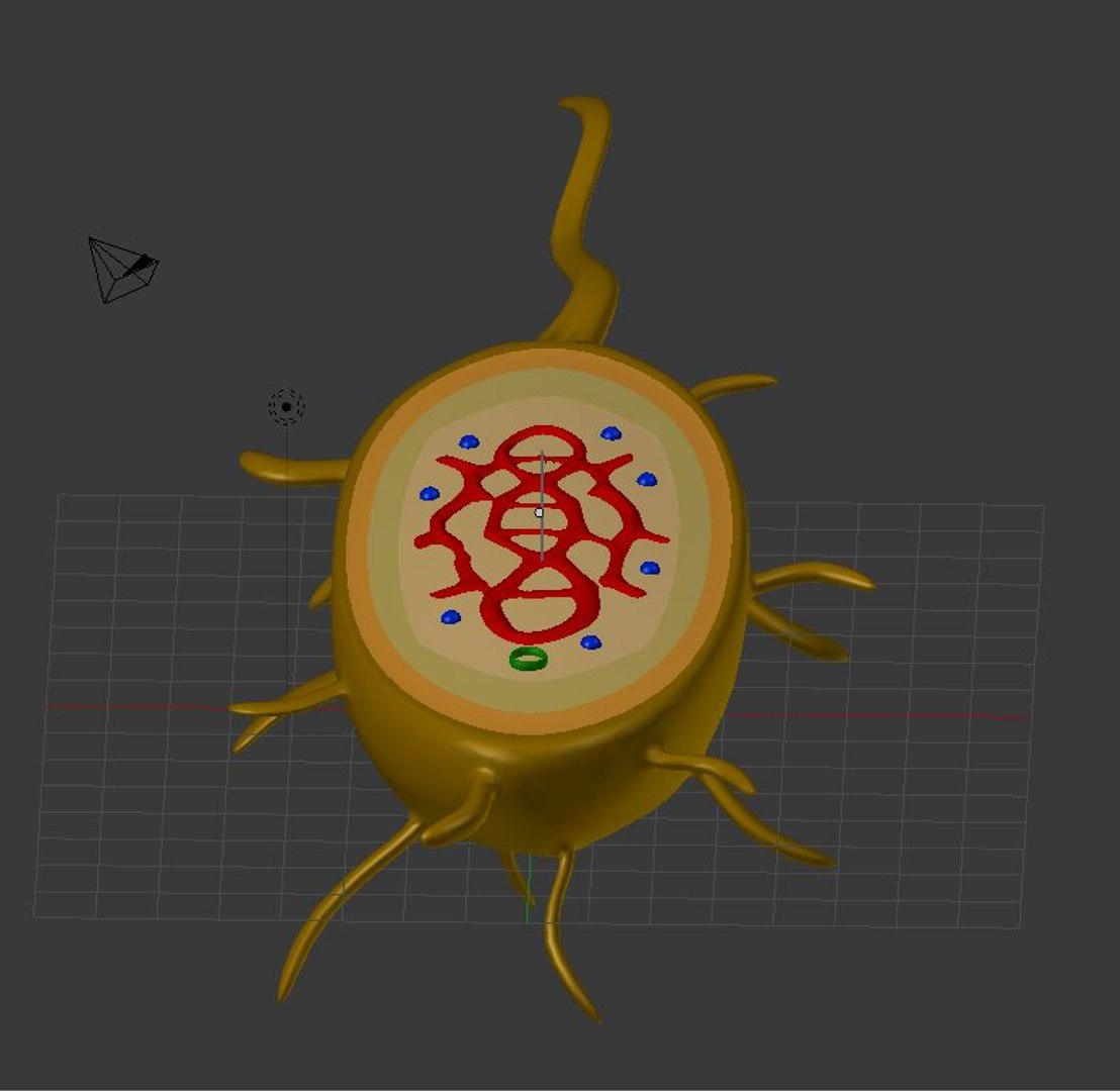 3d Prokaryotic Cell