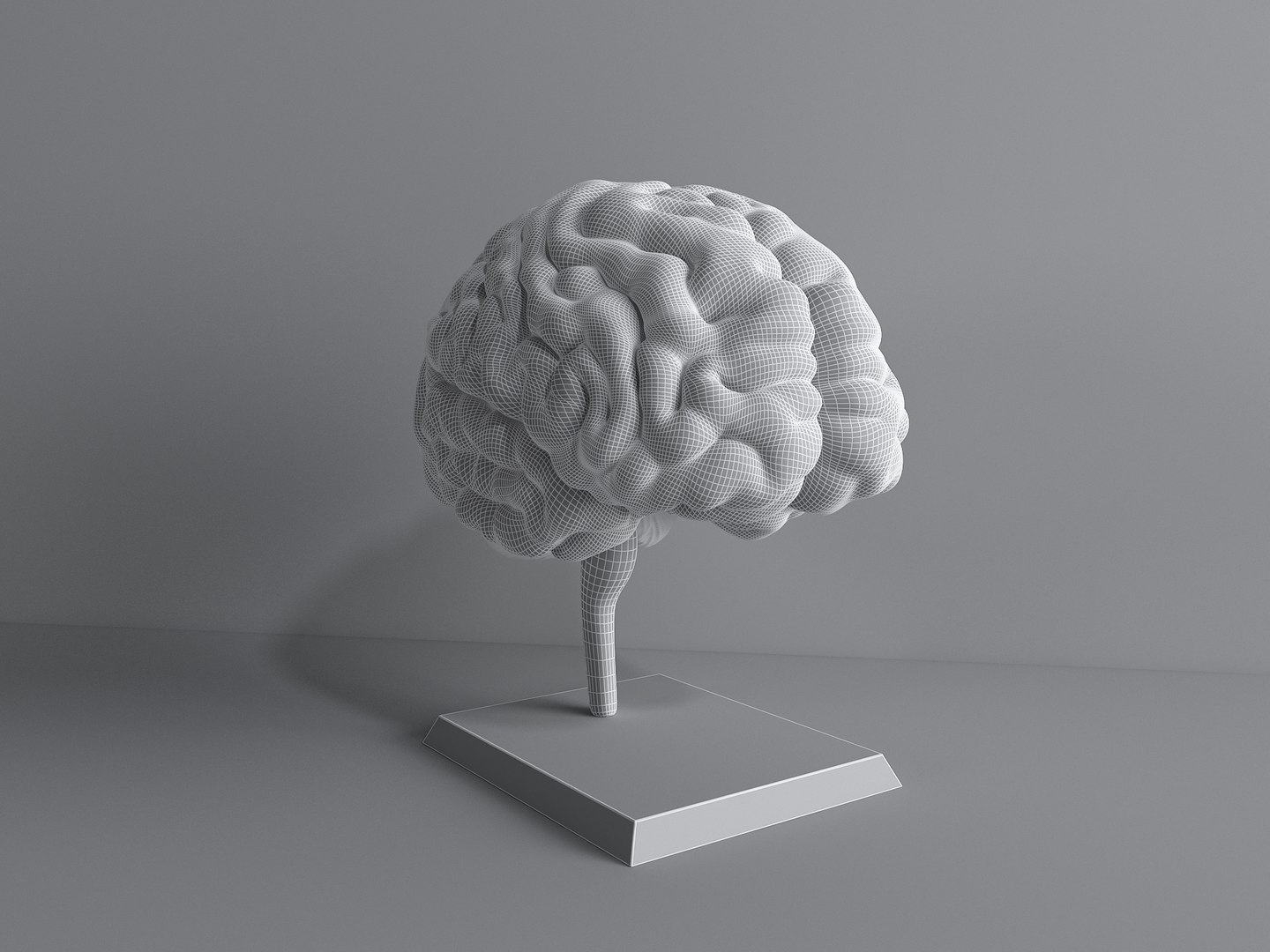 3D Anatomical Skull Model With Brain - TurboSquid 2390051