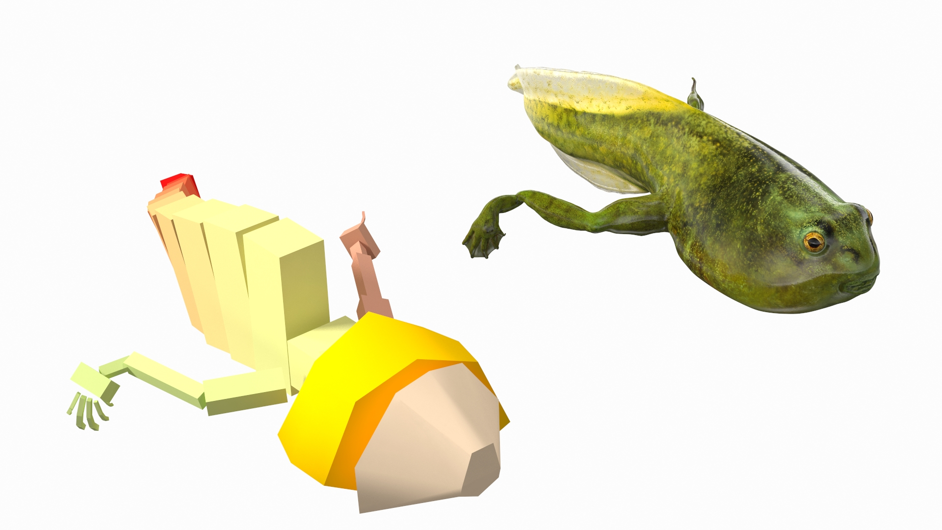 3D Tadpole With Legs Rigged Model - TurboSquid 1714295