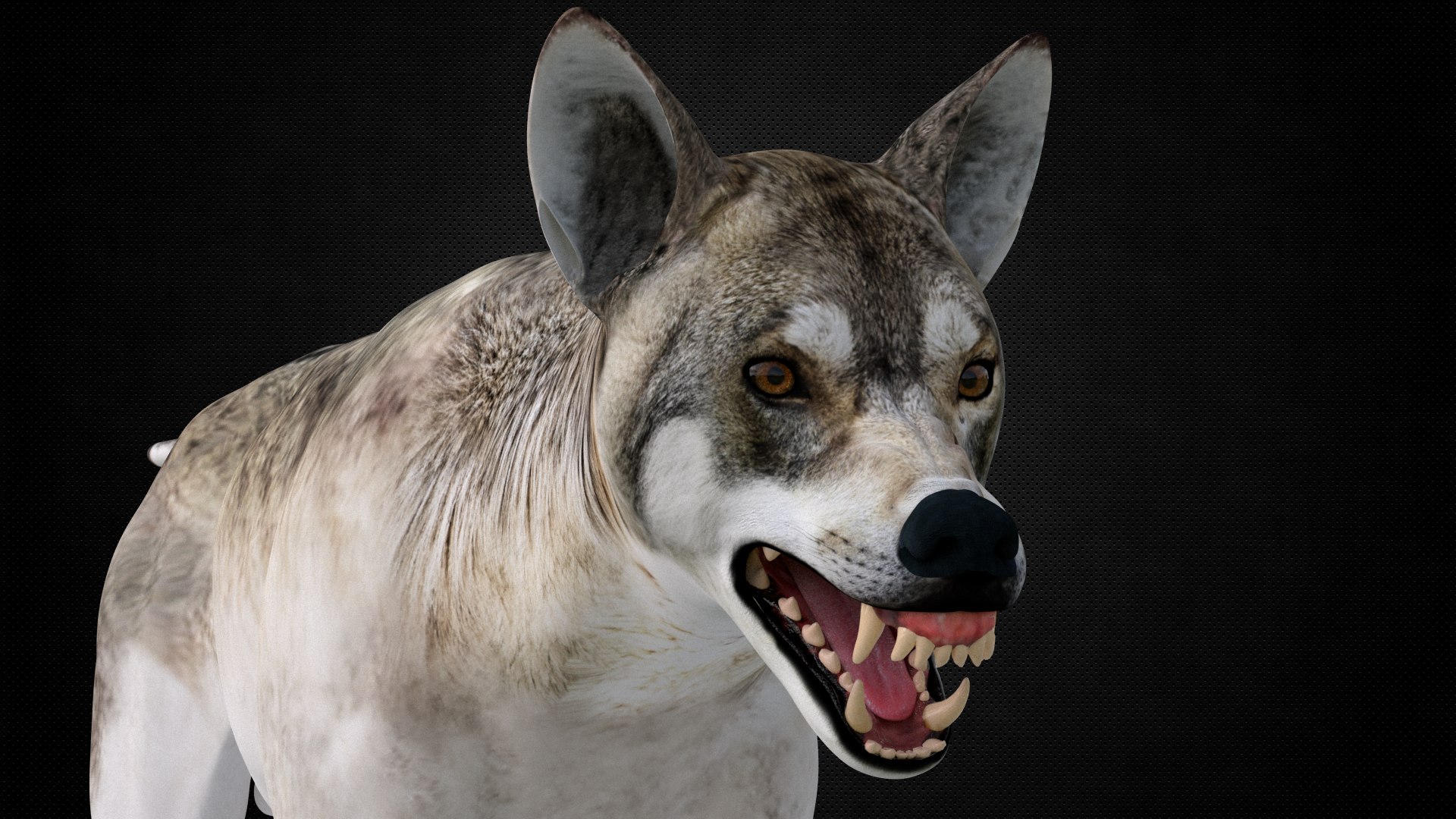 Wolf V-ray 3D Model - TurboSquid 1445771