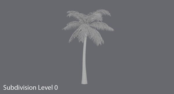 3d palm tree 02 model