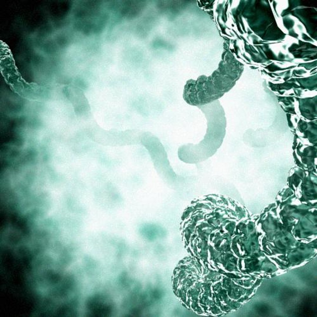 Inorganic Life 3d Max