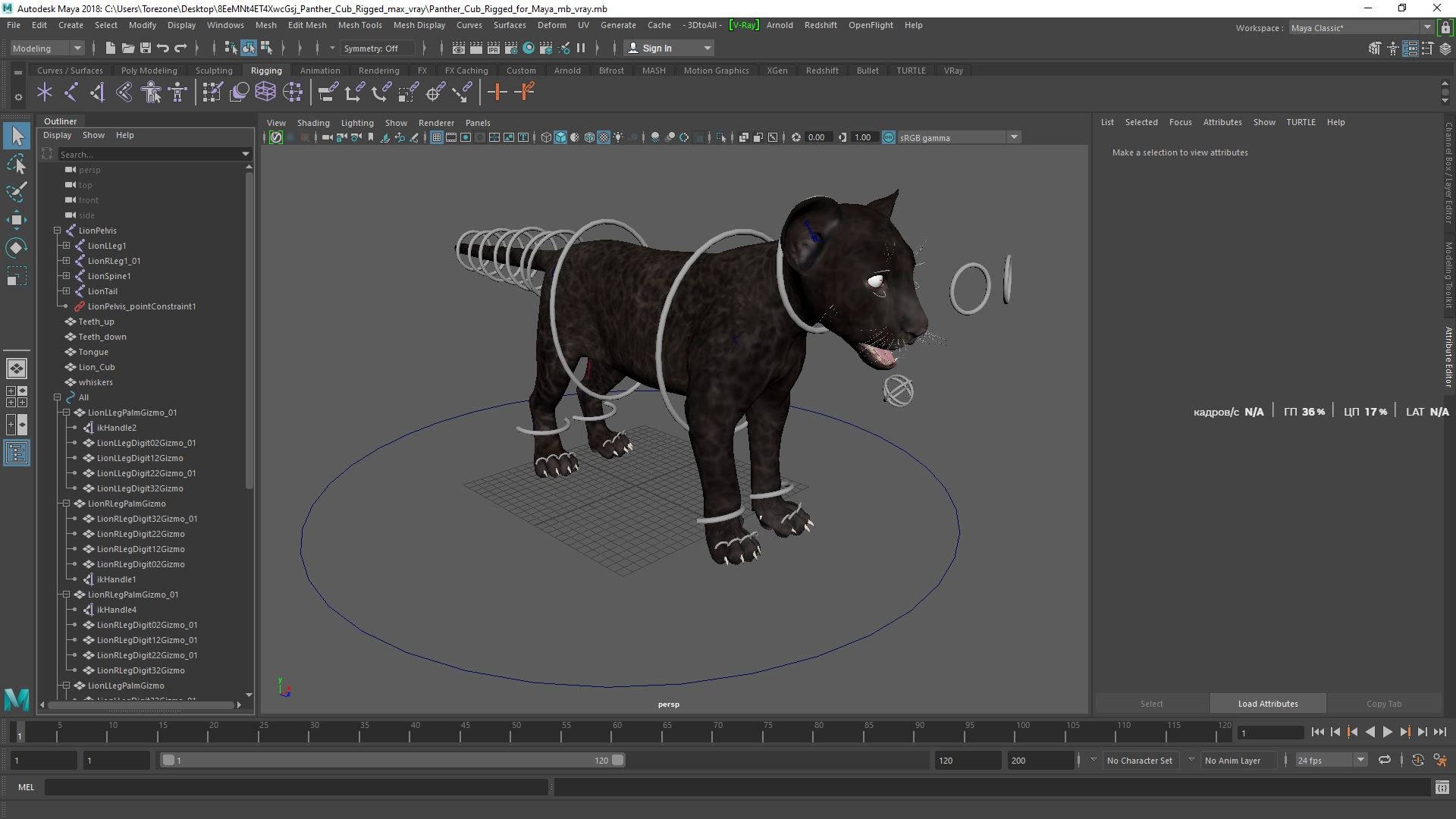 3D Panther Cub Rigged For Maya - TurboSquid 2377462