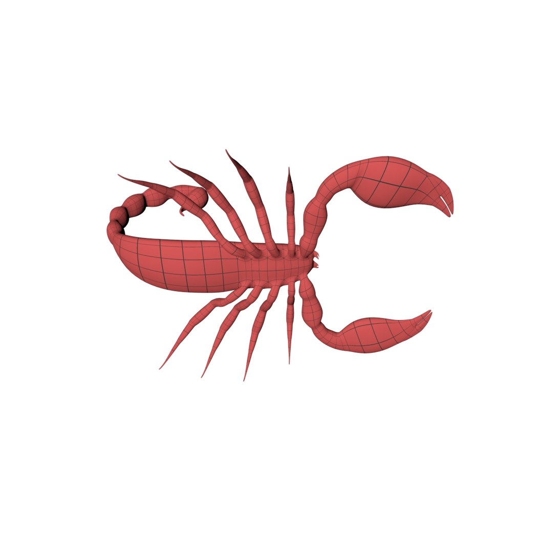 3d Base Mesh Scorpion