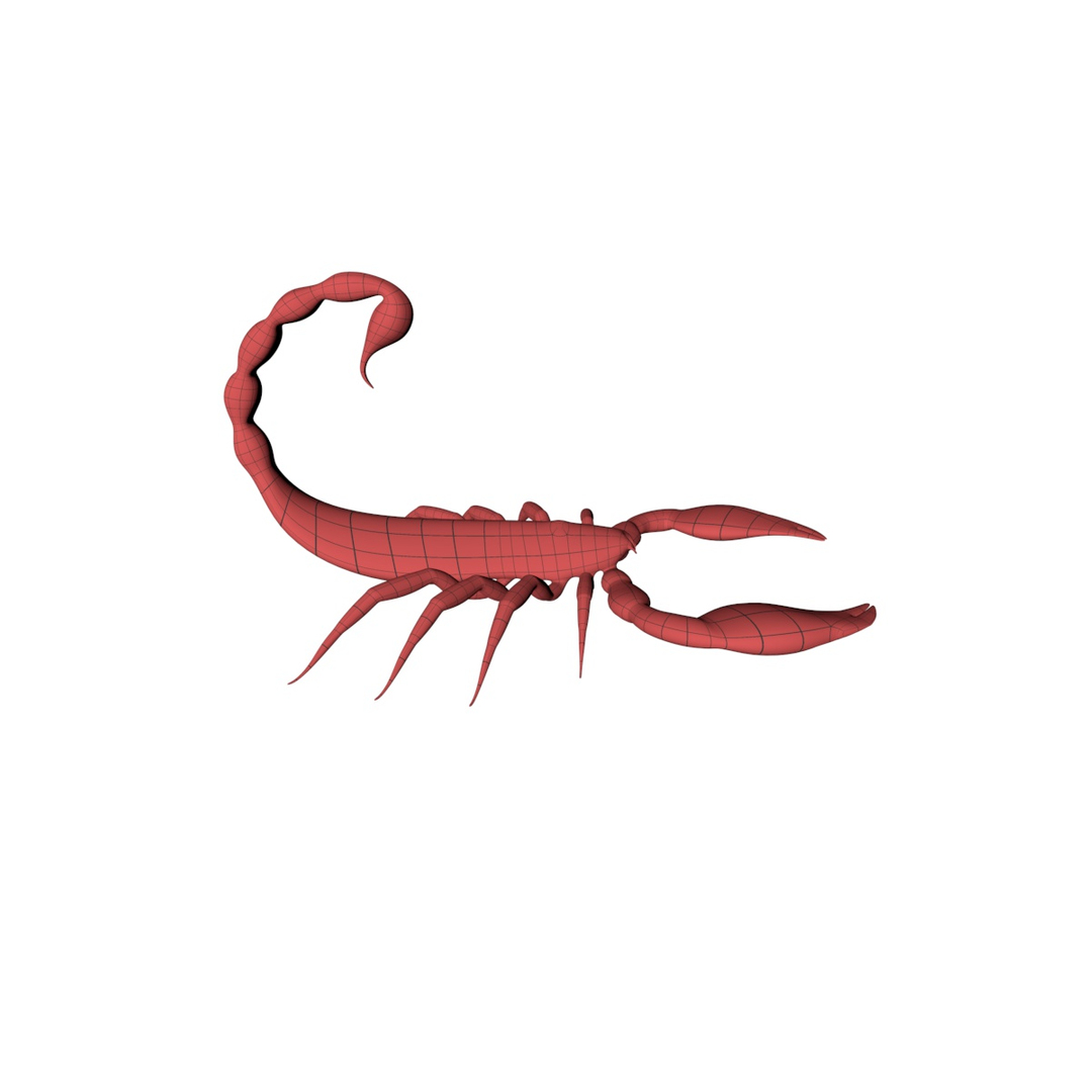 3d Base Mesh Scorpion