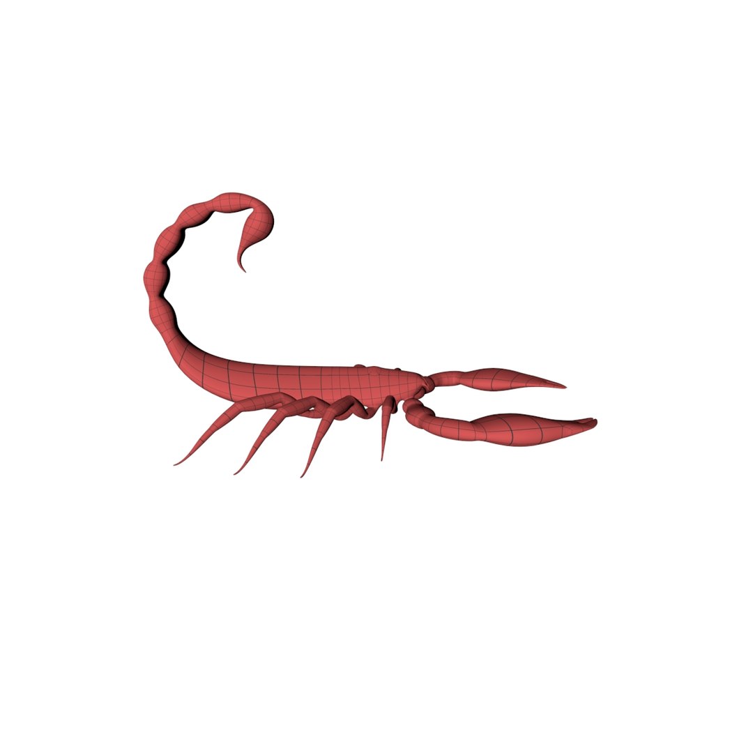 3d Base Mesh Scorpion
