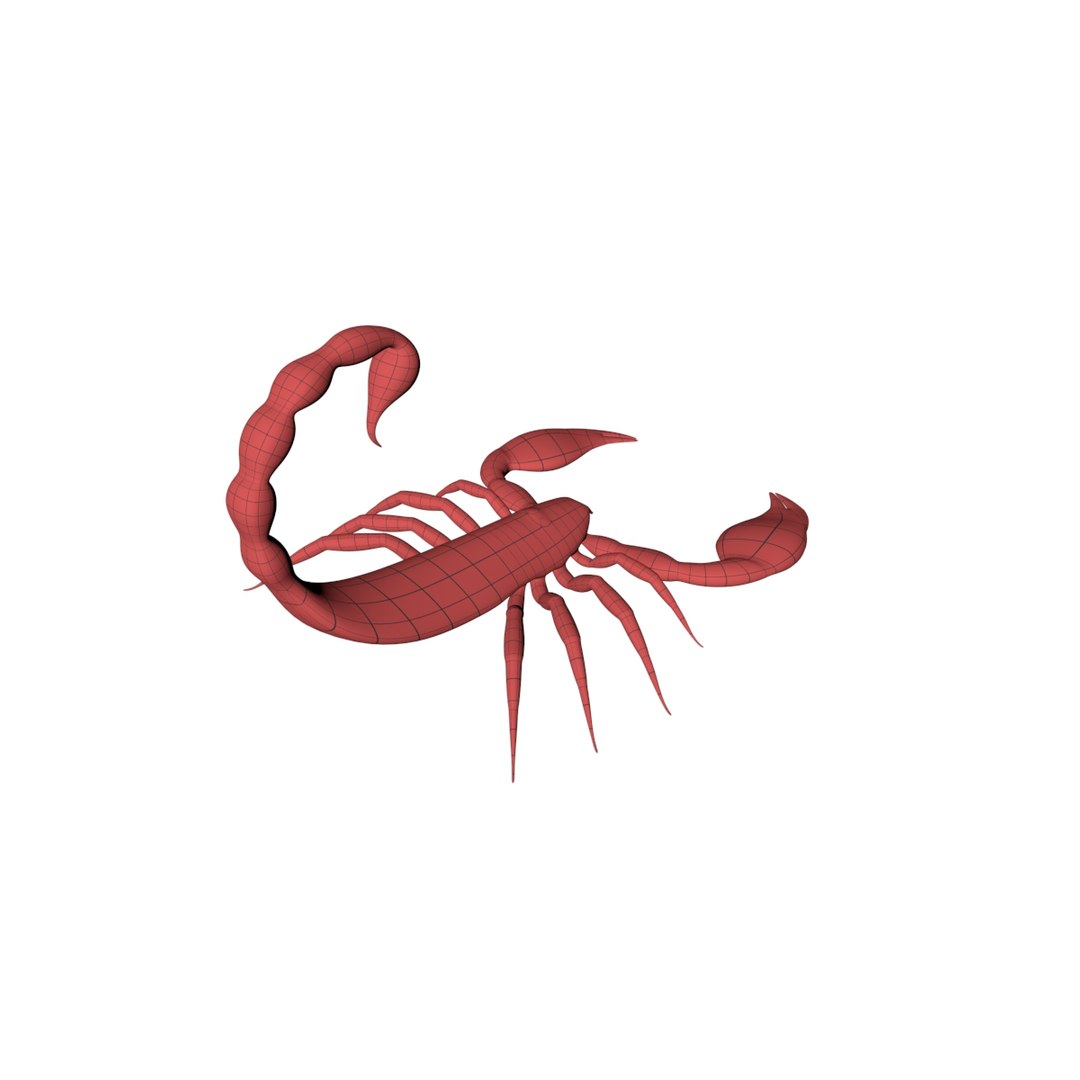 3d Base Mesh Scorpion