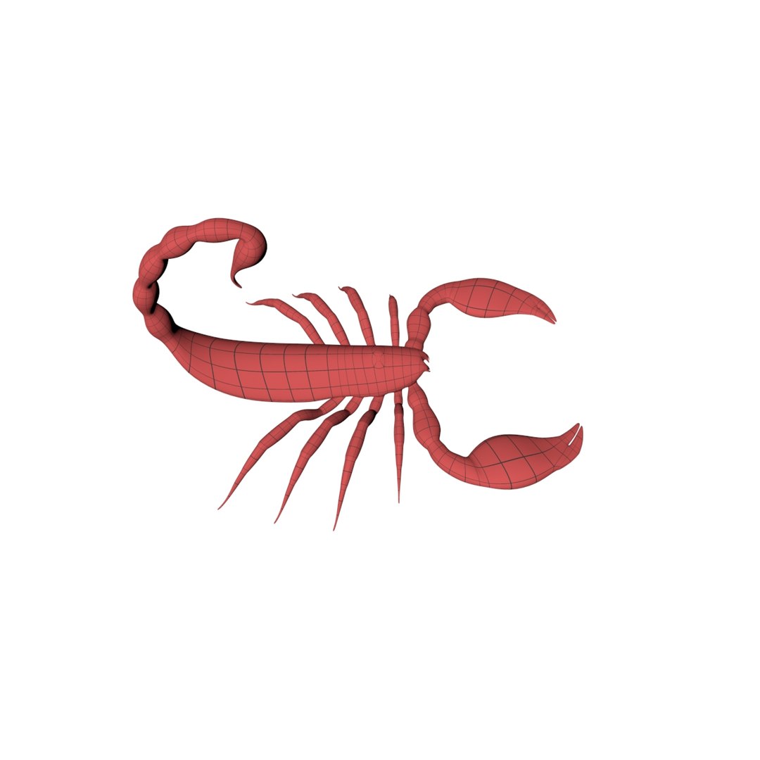 3d Base Mesh Scorpion
