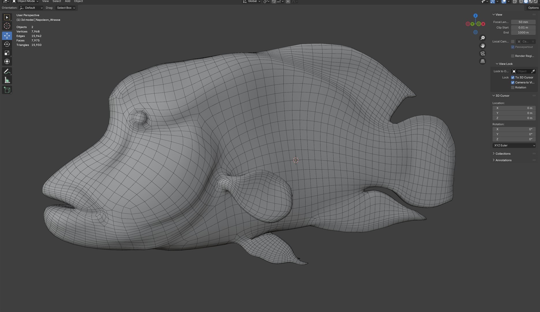 3D Napoleon Wrasse Fish Model - TurboSquid 2512914