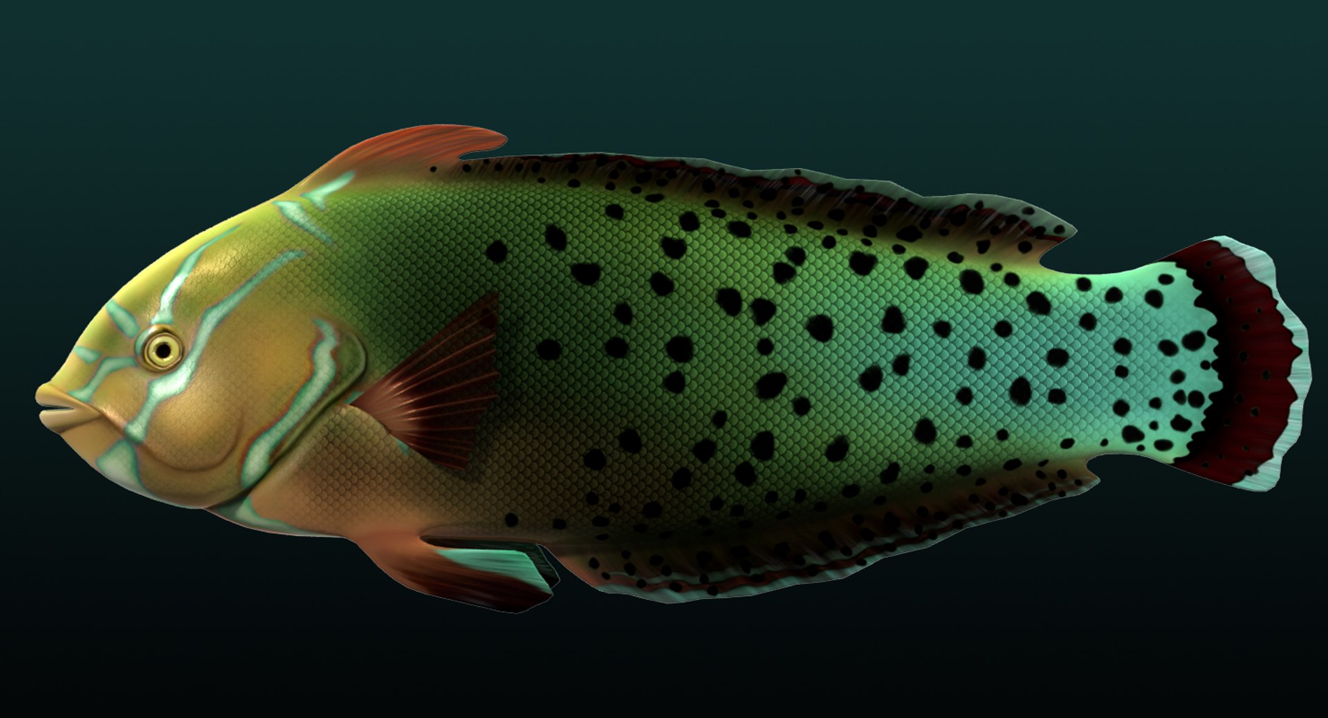 Queen coris model - TurboSquid 1202269