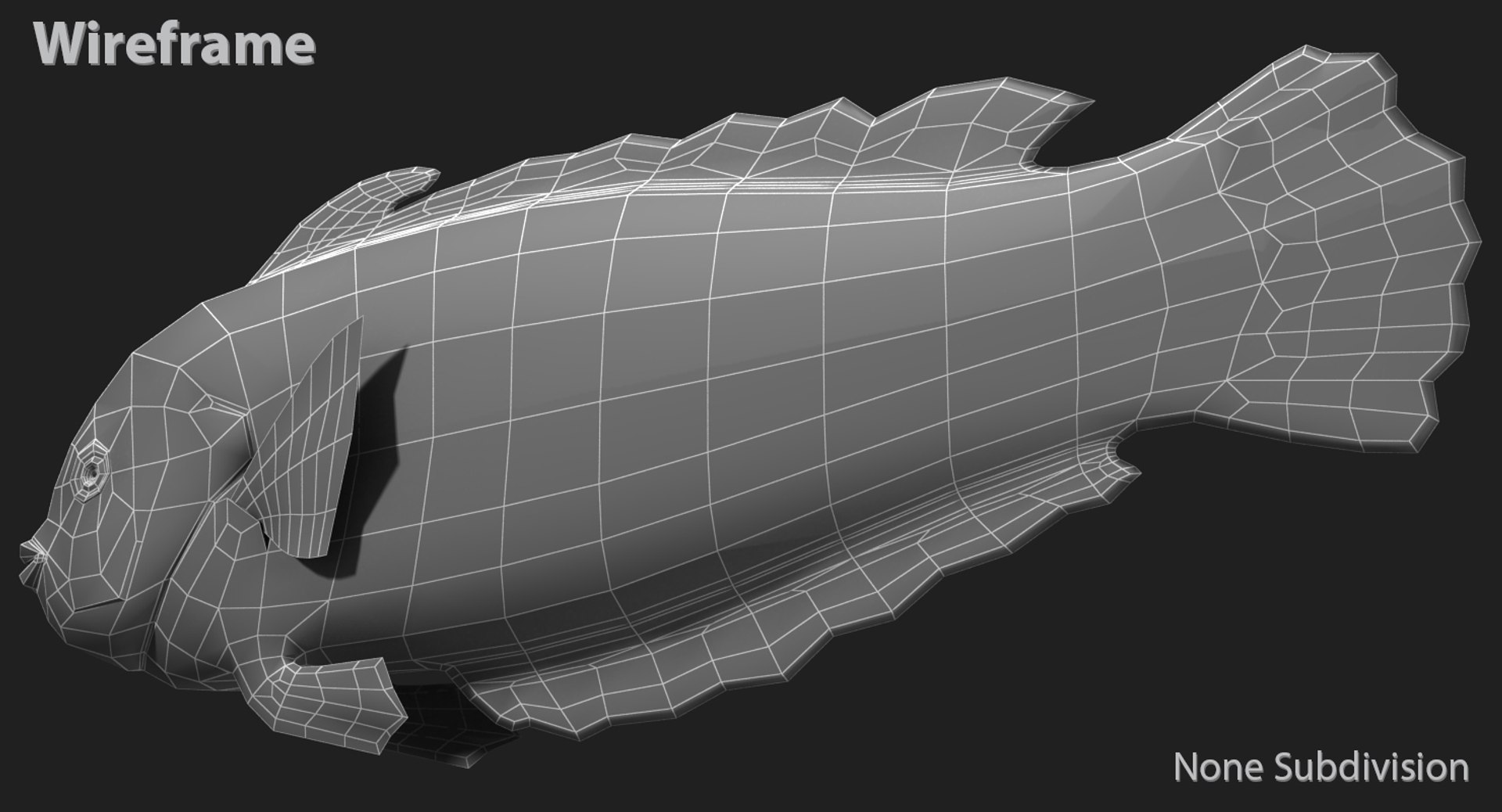 Queen Coris Model - TurboSquid 1202269