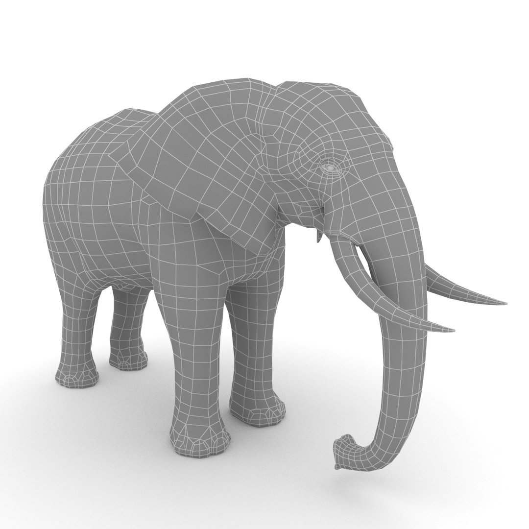 African Elephant 3D Model - TurboSquid 1393163