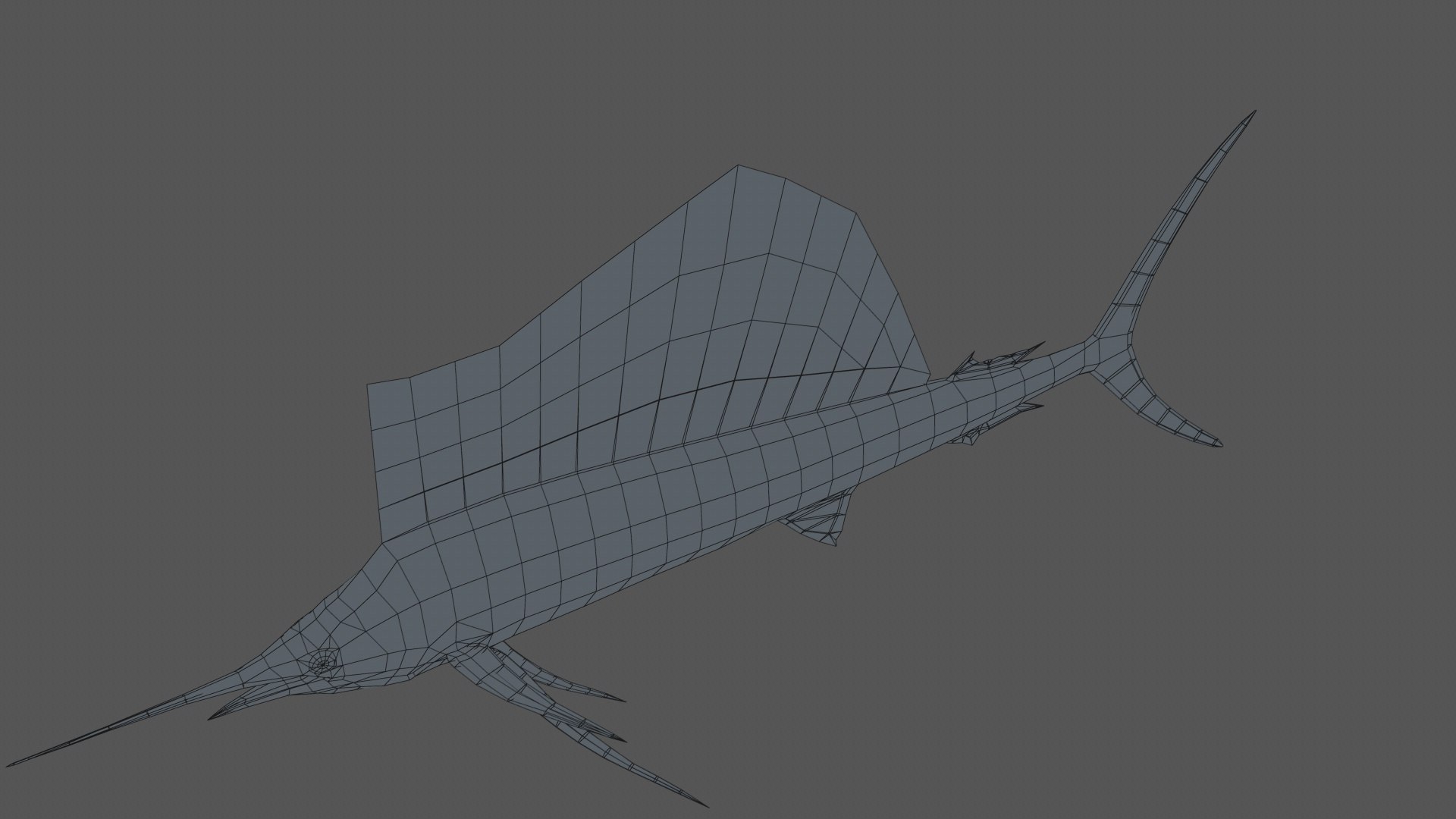 3D Animated Sailfish PBR - TurboSquid 1743323