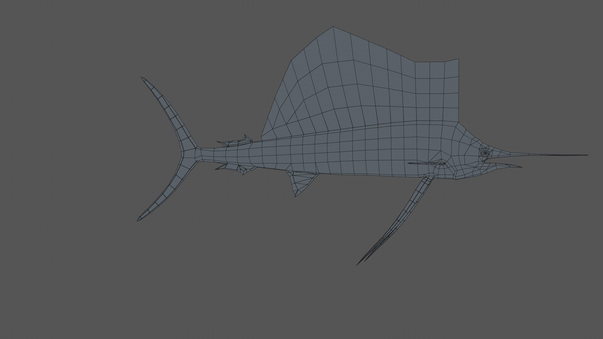 3D Animated Sailfish PBR - TurboSquid 1743323