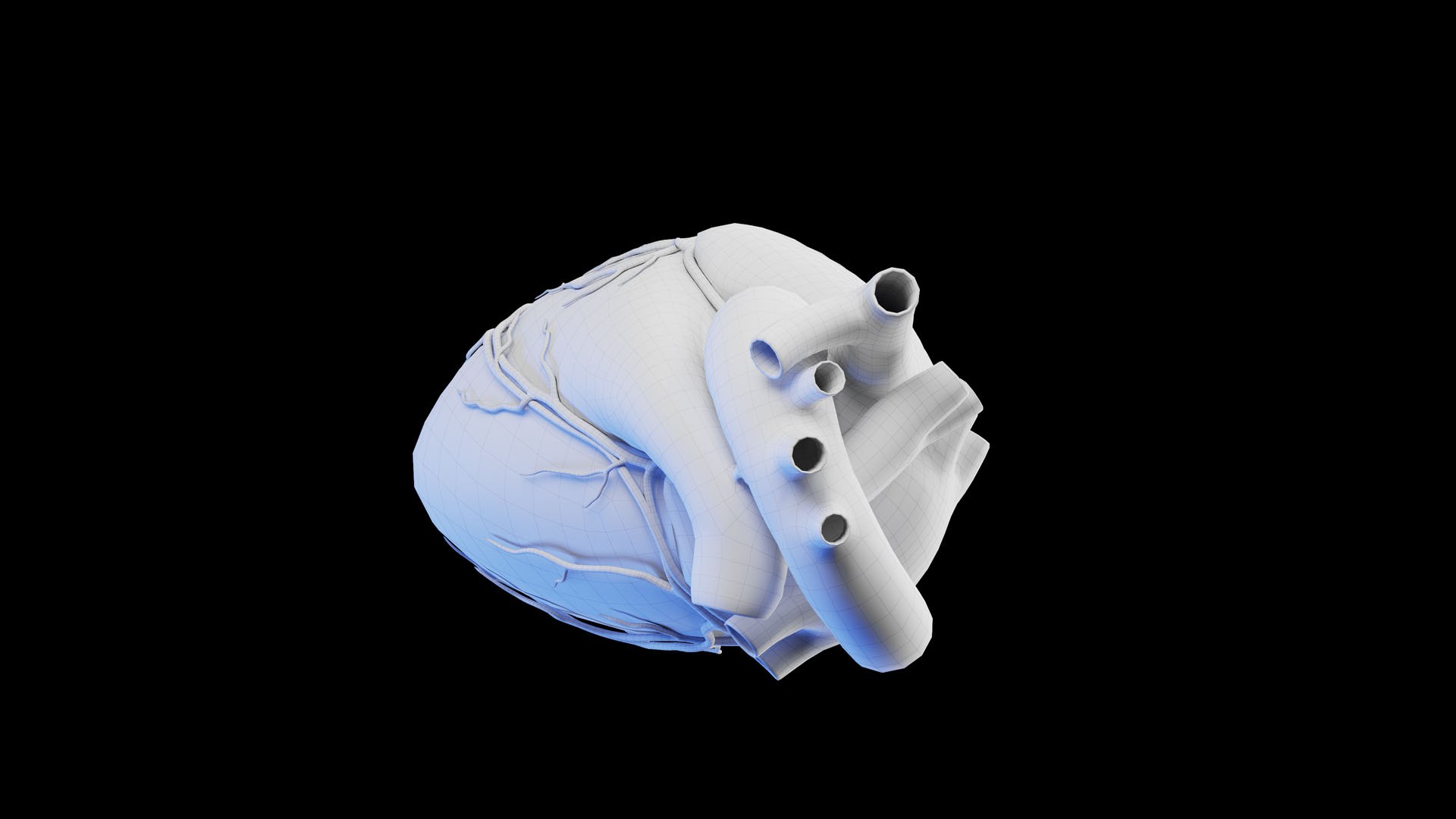 3D Human Heart Model - TurboSquid 2017524