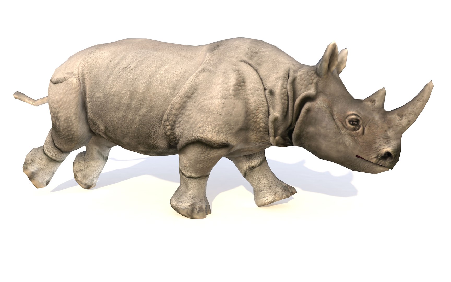 Rhinoceros Animations 3D Model - TurboSquid 1653320