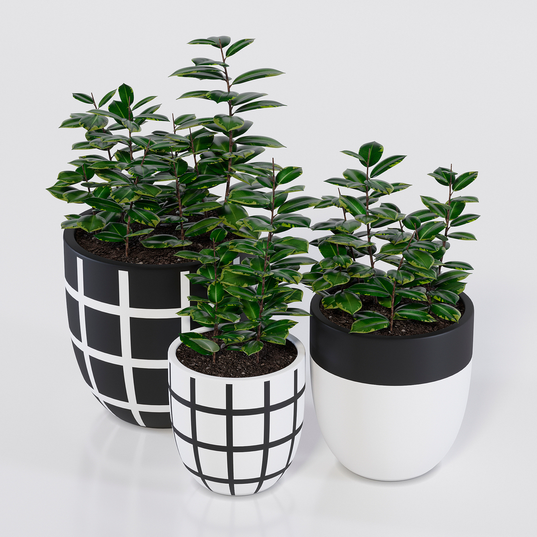 design grid pot 3d model