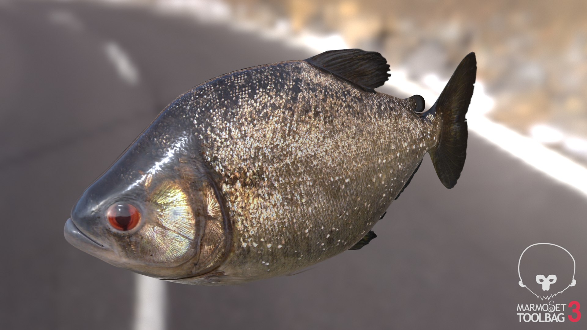 3D Redeye Piranha Red - TurboSquid 1508503