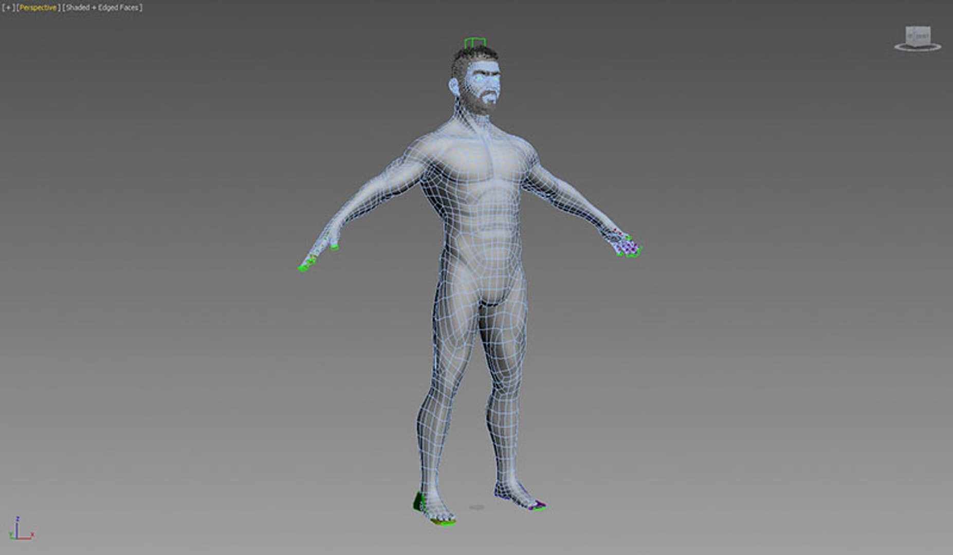 realistic male body - 3d max