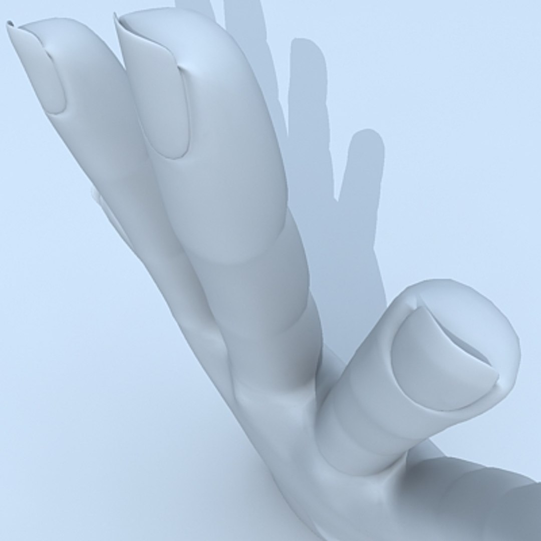 3d Palm Model