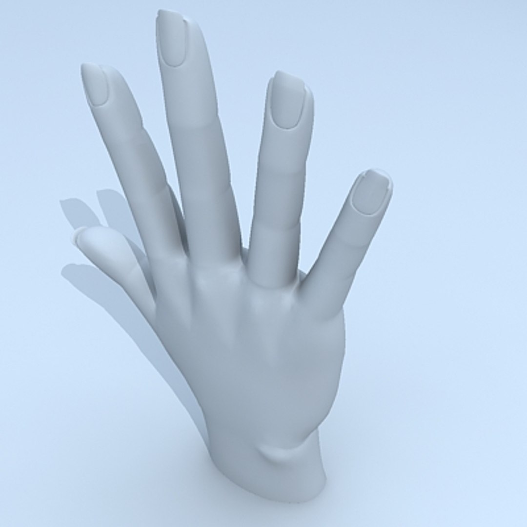 3d Palm Model