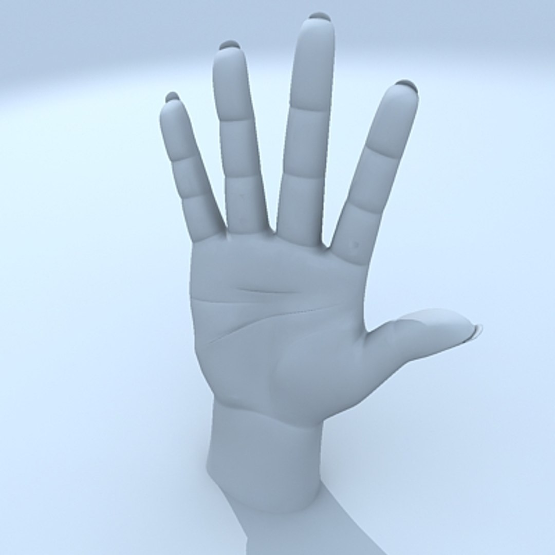 3d Palm Model