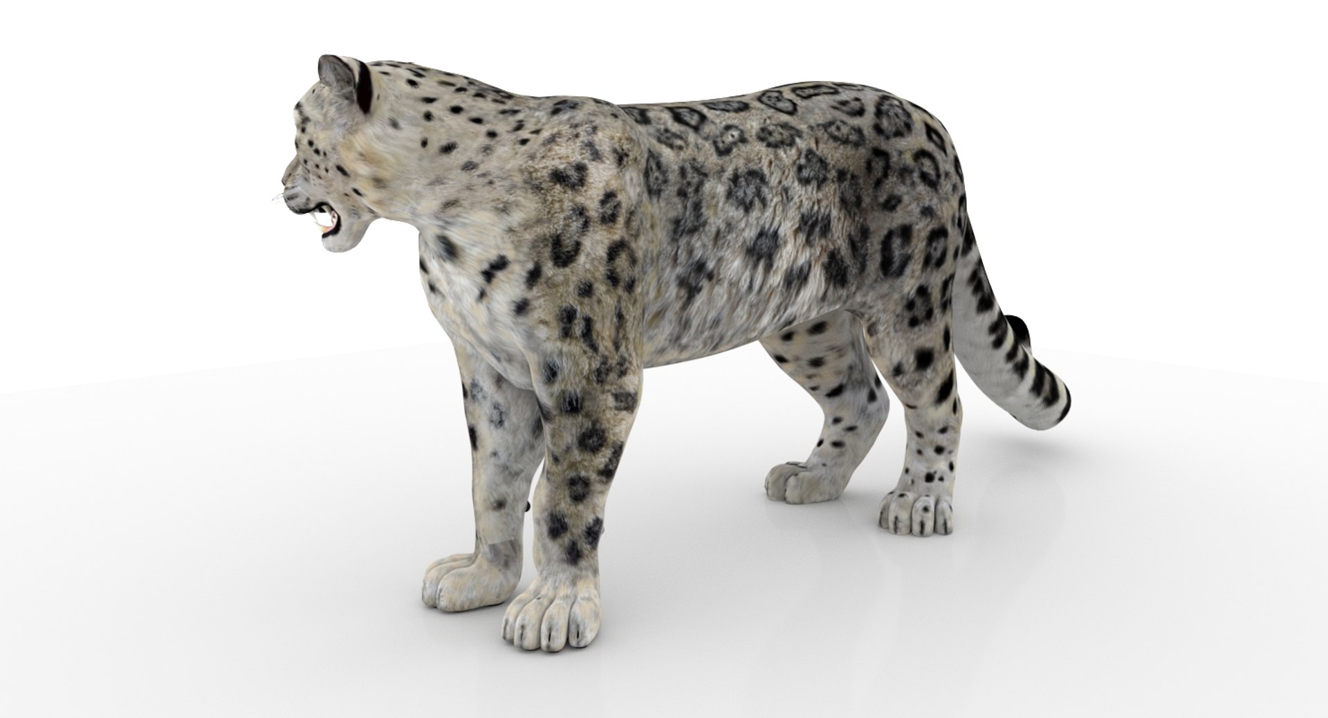 3D Snow Leopard 2 Rigged - TurboSquid 1379546
