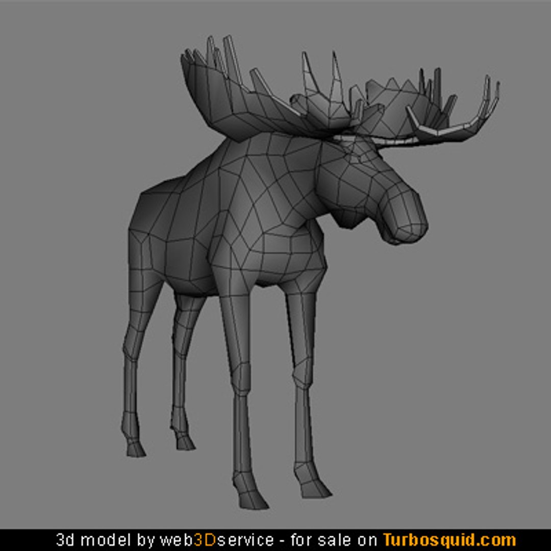 Moose Real Time 3d Model