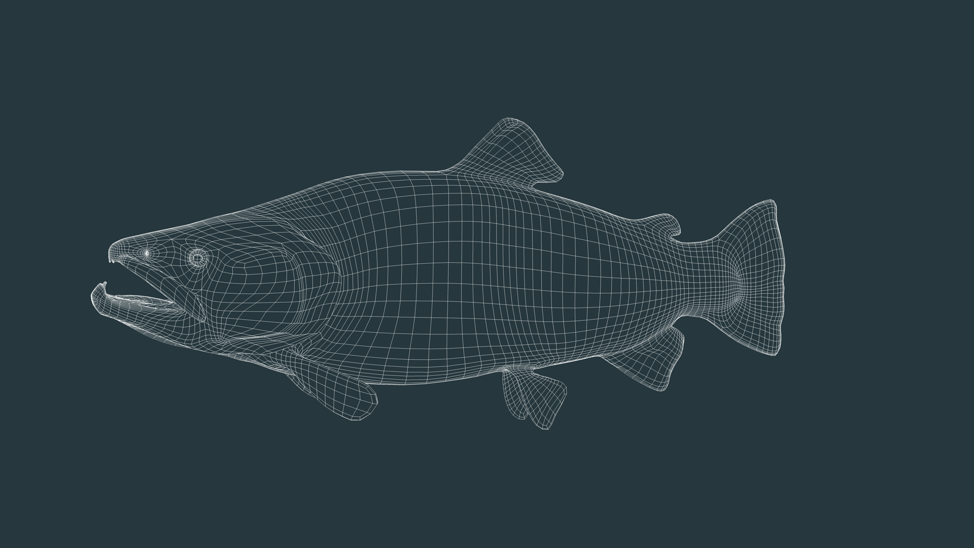 Brown Trout 3D Model - TurboSquid 1447825