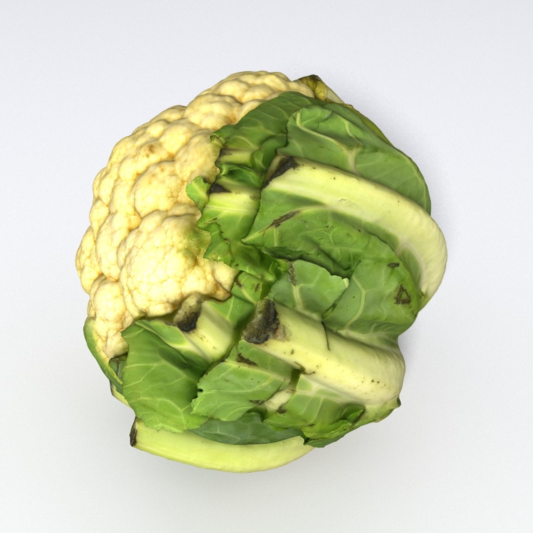 Cauliflower 3D Model - TurboSquid 1260609