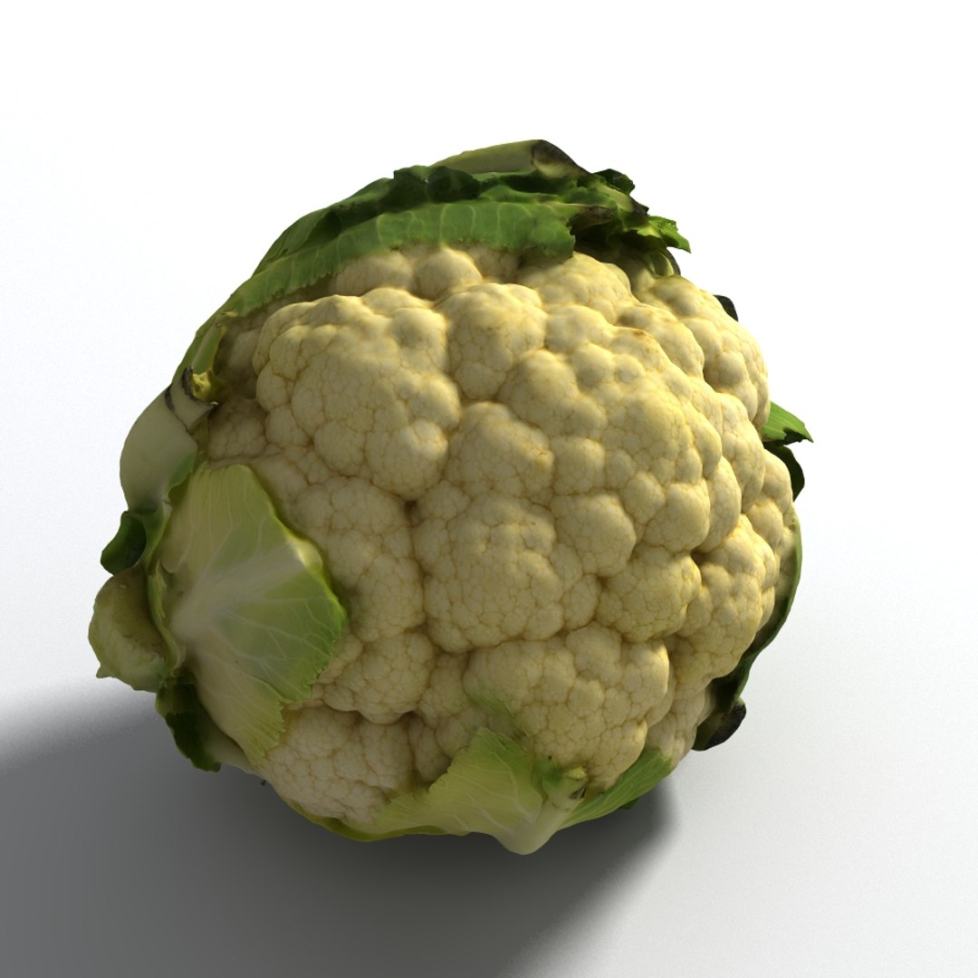 Cauliflower 3D Model - TurboSquid 1260609