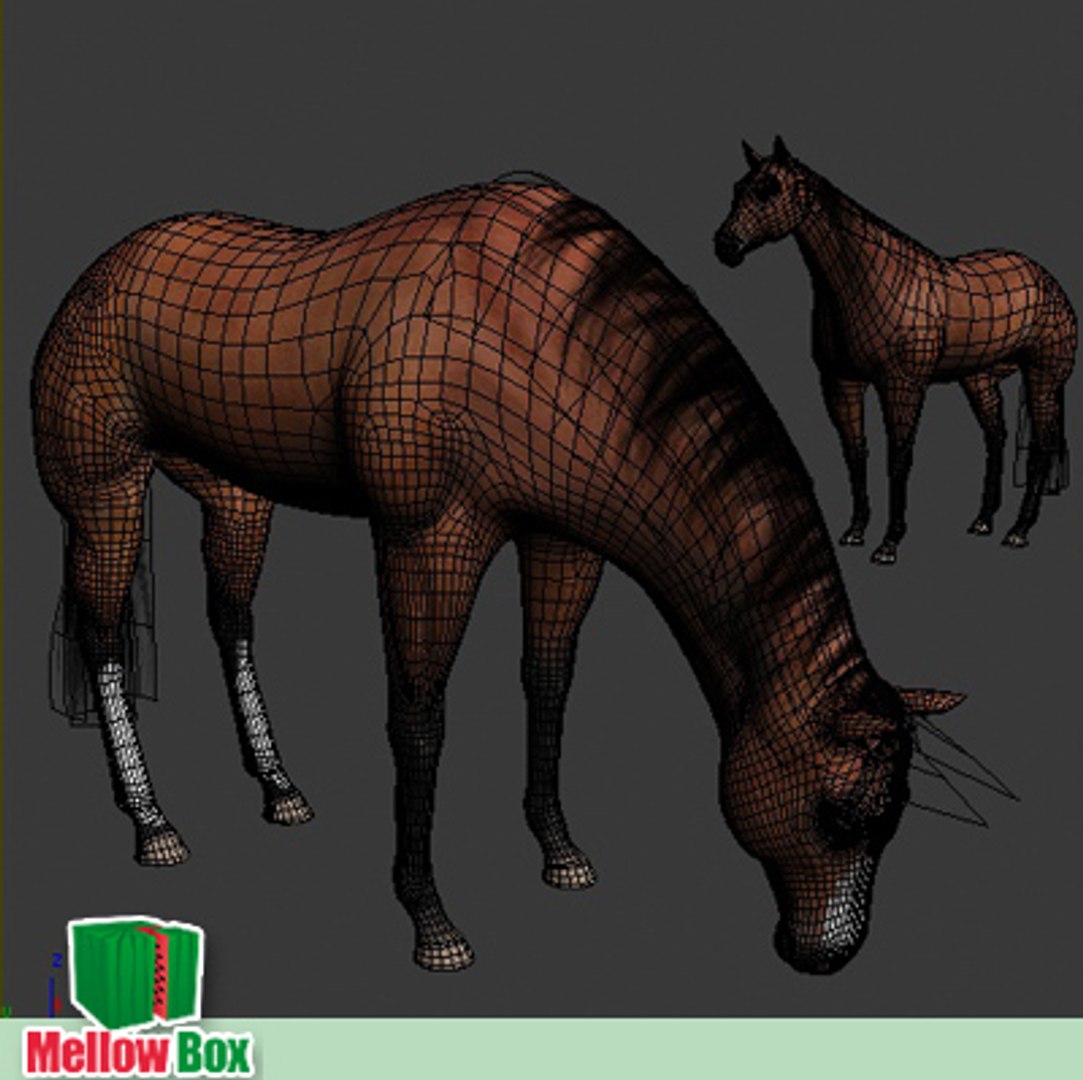 3d Model Horse Bronco Pony