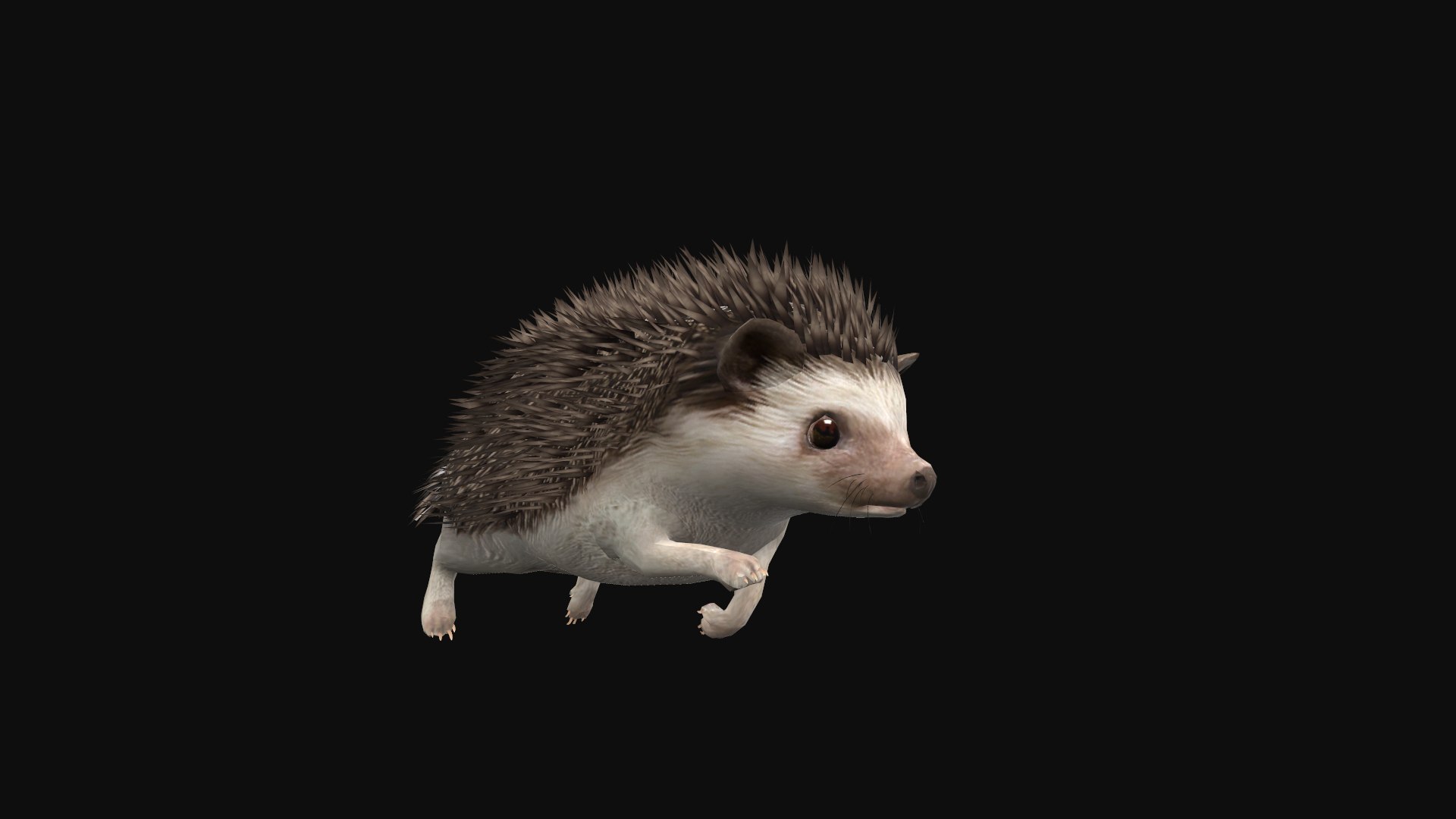 Hedgehog 3D Model - TurboSquid 2194725