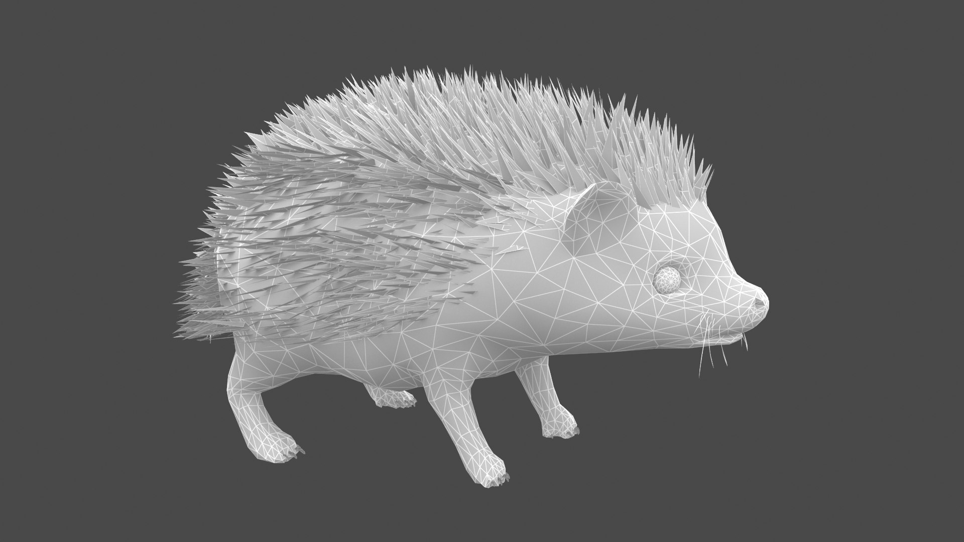 Hedgehog 3D Model - TurboSquid 2194725