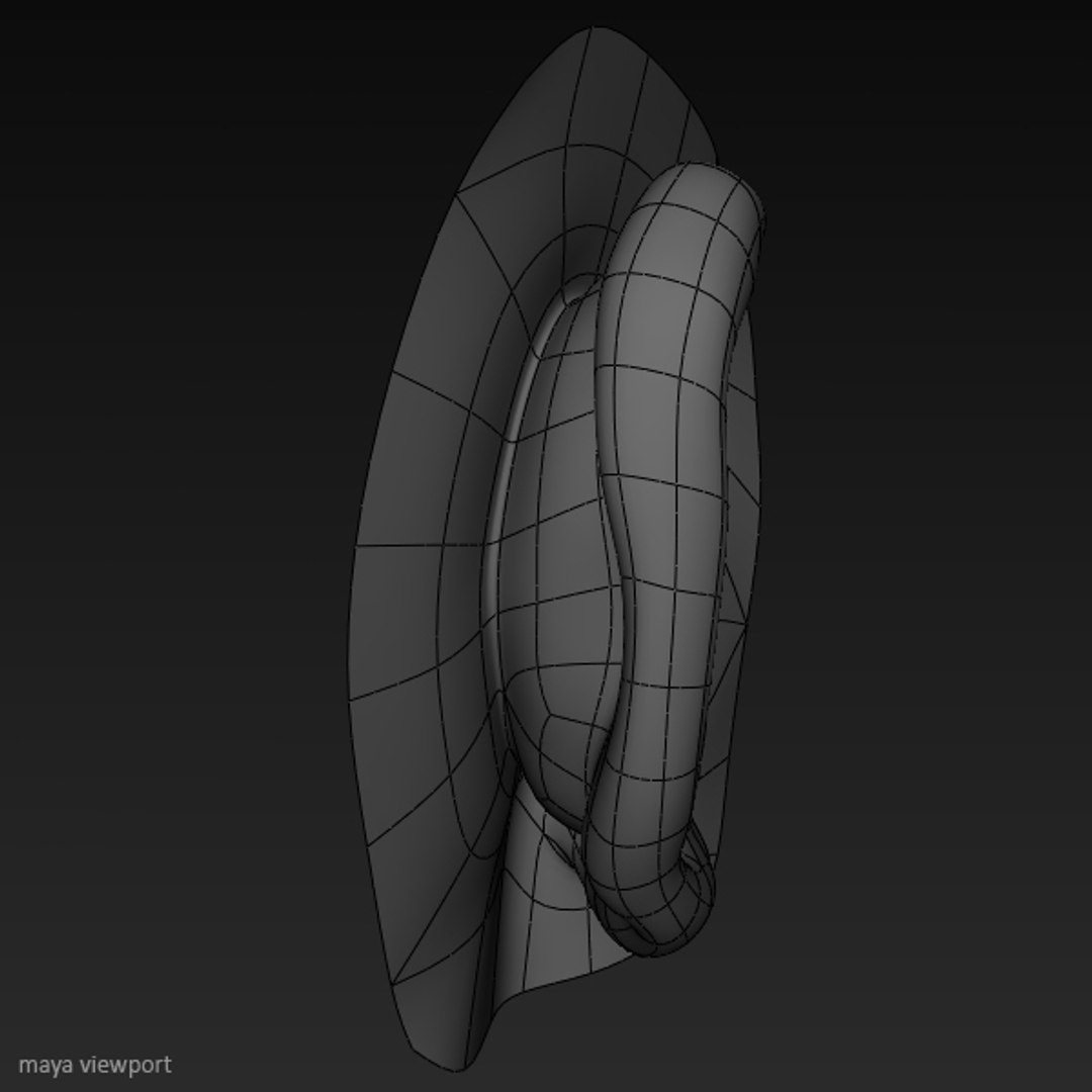 Perfect Ear 3d Model