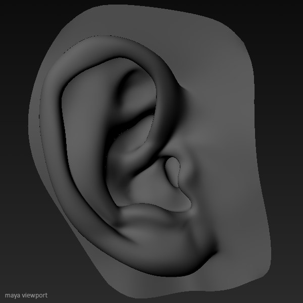 perfect ear 3d model