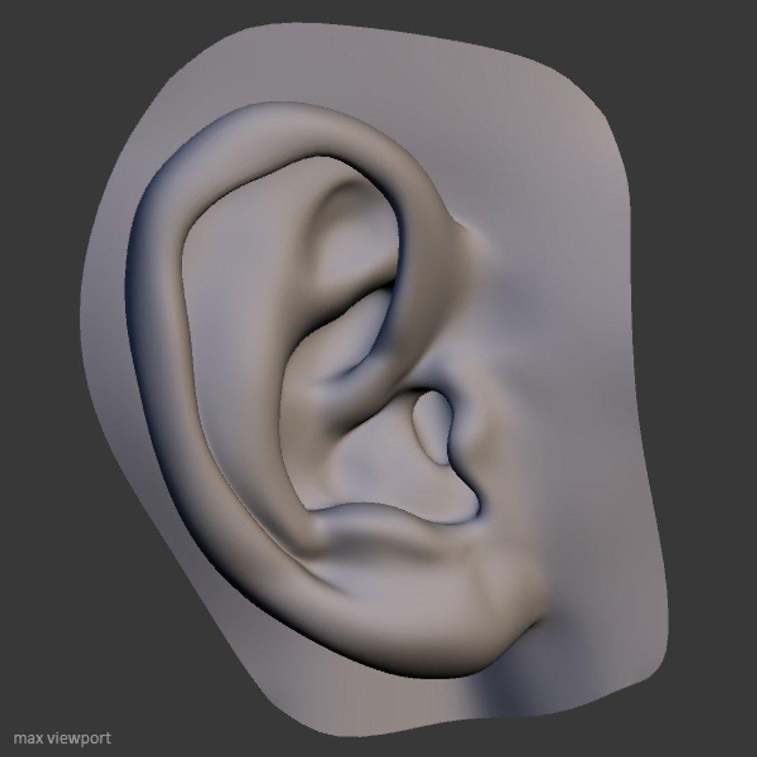 Perfect Ear 3d Model