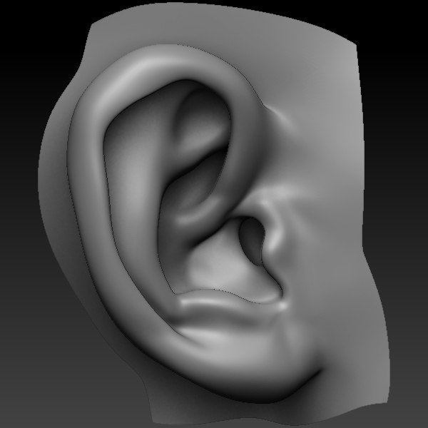 3d basic ear model
