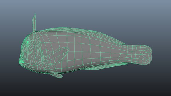 Peacock razorfish model - TurboSquid 1692821