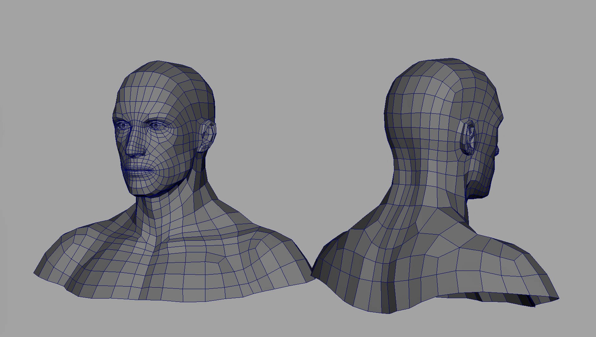3d Model Of Male Bust Based