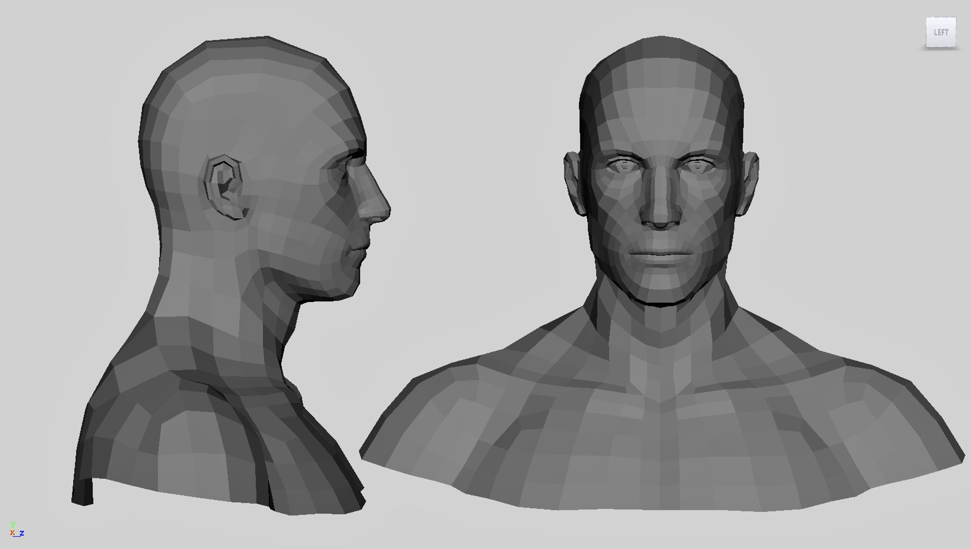 3d Model Of Male Bust Based