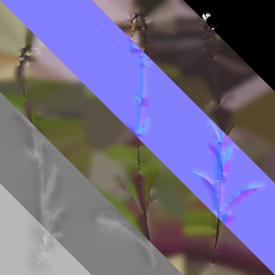 Anydrafts Penstemon Digitalis Atlas 01 Textures 3D Model - TurboSquid ...