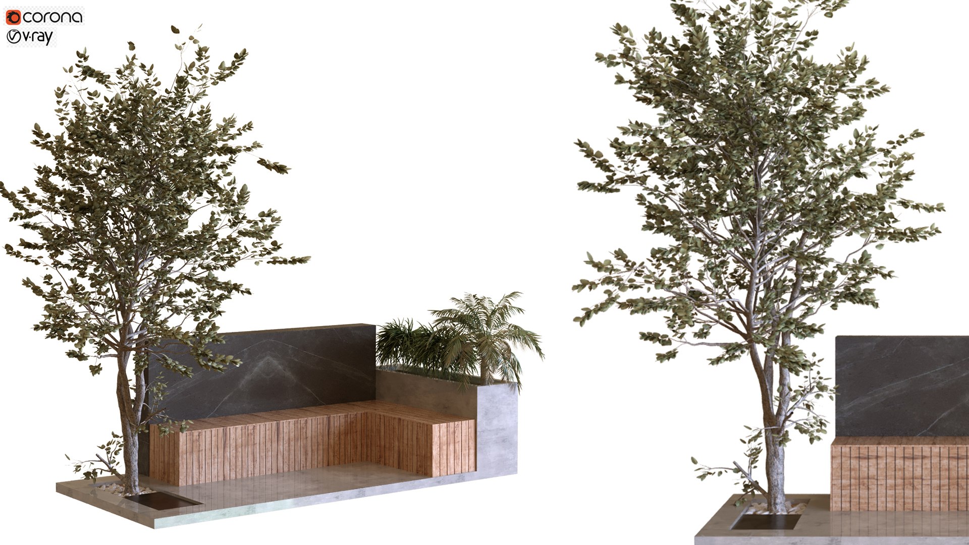 3D plants tree set 032 bench model - TurboSquid 1754768