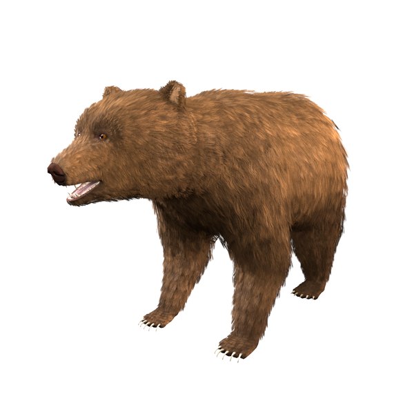 Grizzly Bear Blender Models for Download | TurboSquid